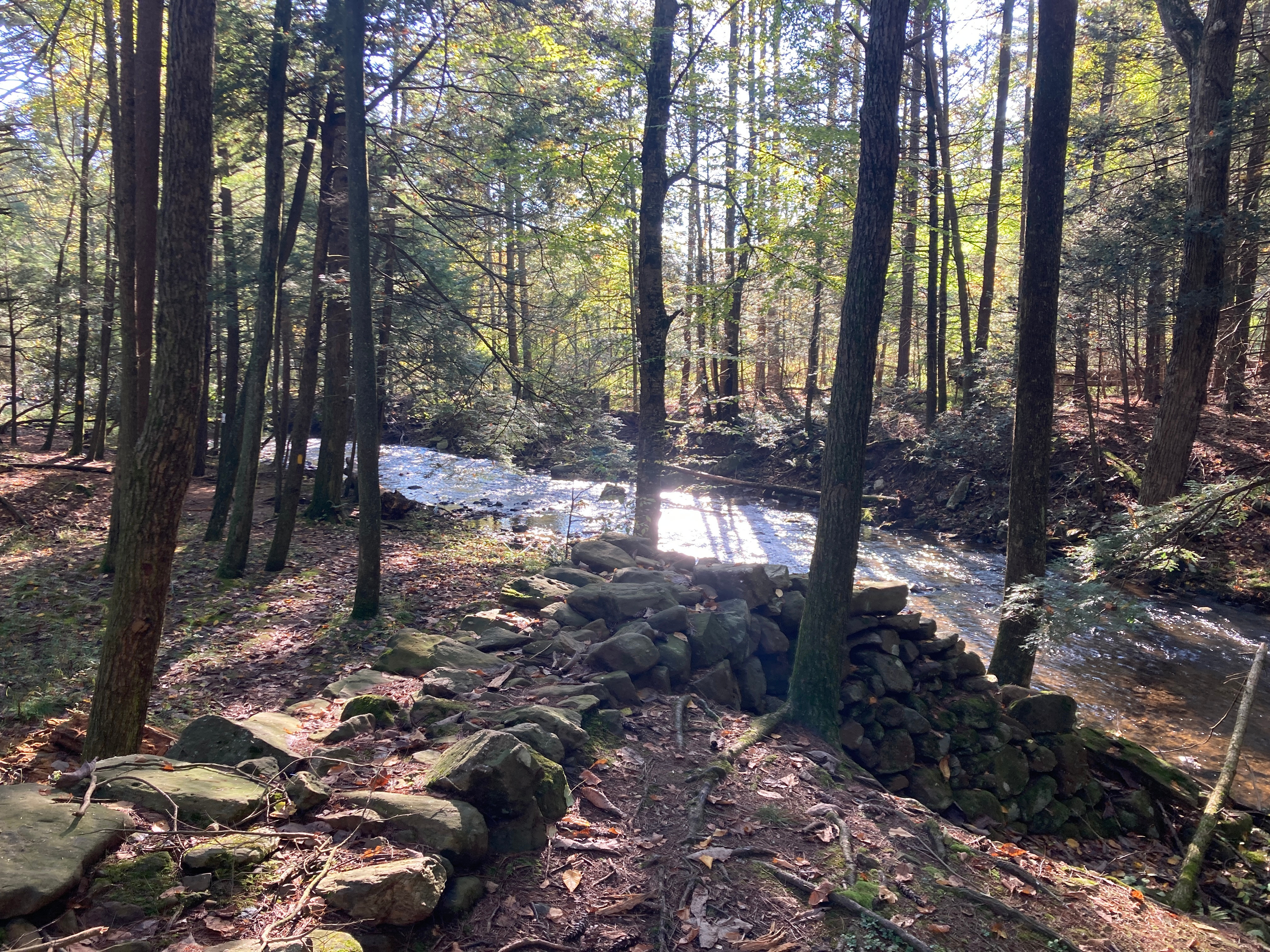 Reeds Gap State Park
