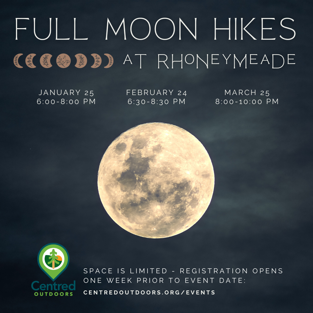 Full Moon Hike At Rhoneymeade Centred Outdoors full-moon-hike-at-rhoneymeade-centred-outdoors
