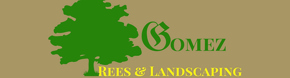 Experienced | Gomez Trees & Landscaping | Houston