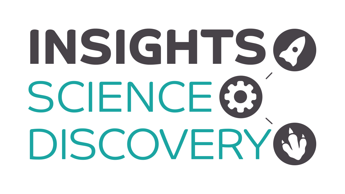 Insight Discovery Logo