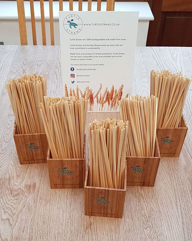 80000 Turtle Straws | Turtle Straws