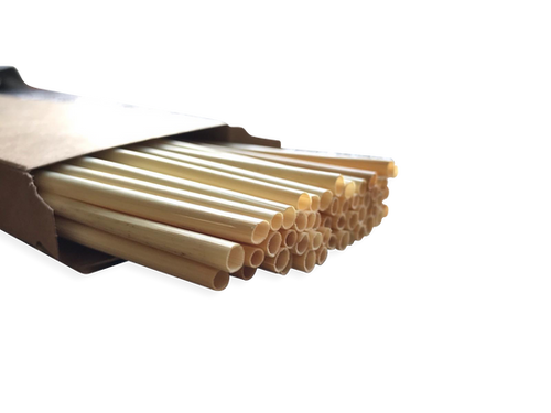 10000 Turtle Straws | Turtle Straws