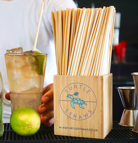 Intro to Sustainabilty | Turtle Straws