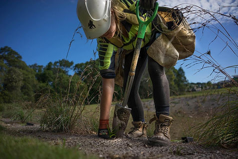 Home | Timberwolf Planting