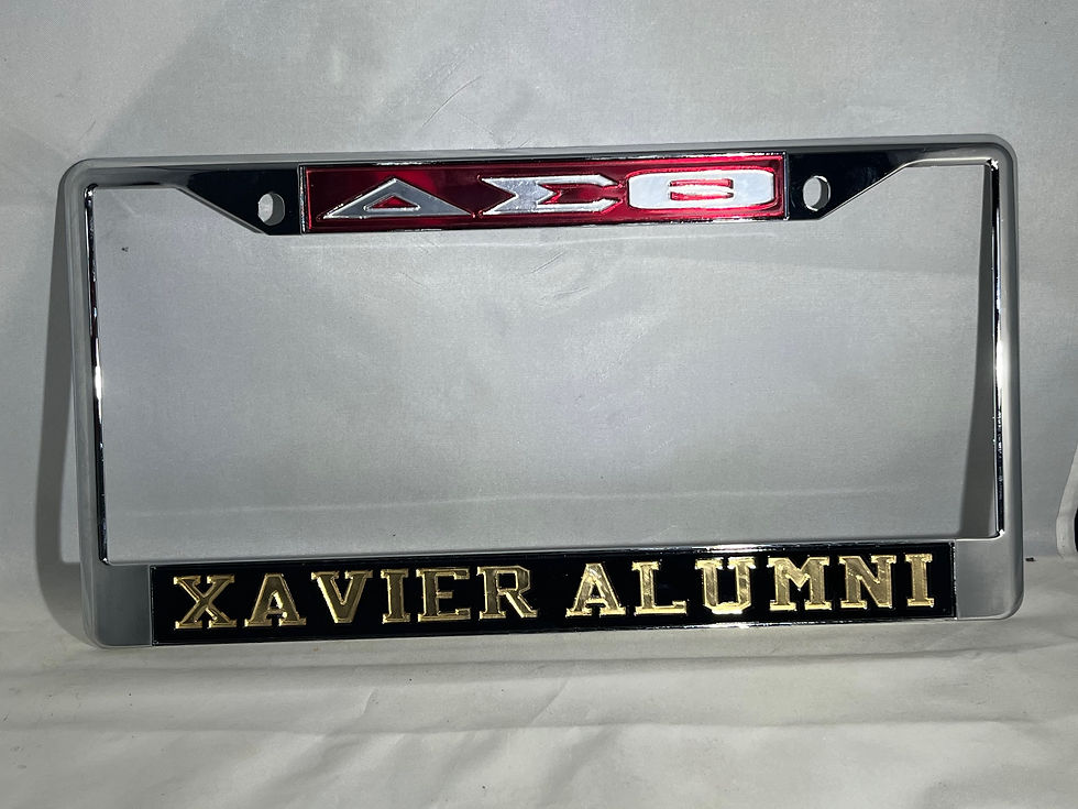 DST Xavier Alumni License Frame | Quality Laser Design