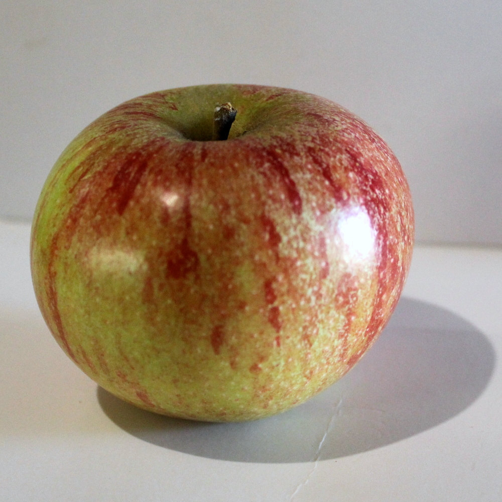 Cox's Orange Pippin Apple and Caramel Apple Pie Squares Recipe