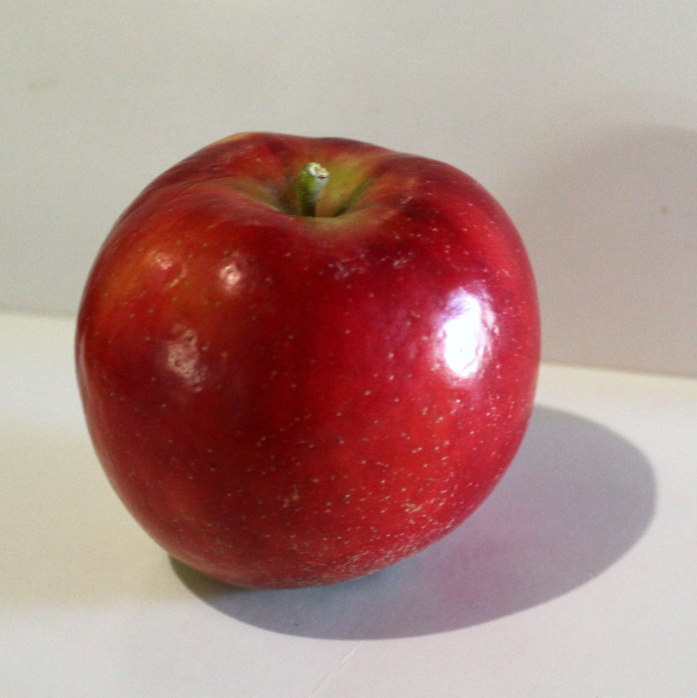 Crimson Crisp Apples and Fried Apple Slices Recipe