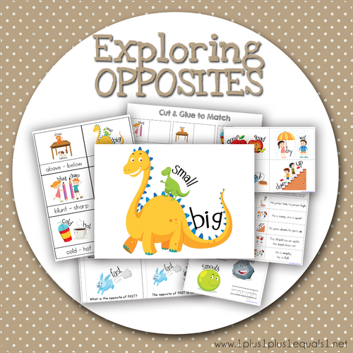 Exploring Opposites Bundle | 1+1+1=1 SHOP