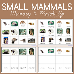 Montessori Printables | 1+1+1=1