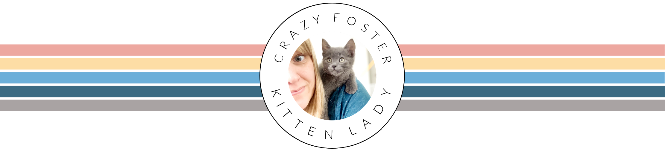 HOME | Crazy Foster Kitten Lady | Foster Kittens