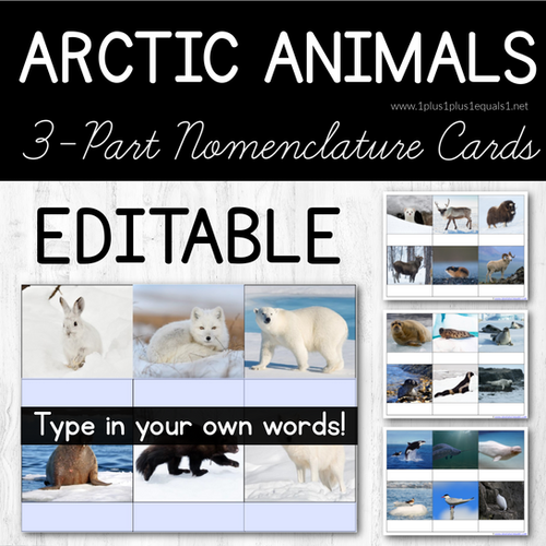 Editable 3-Part Cards: Arctic Animals | 1+1+1=1 SHOP
