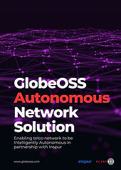 Autonomous Network | GlobeOSS