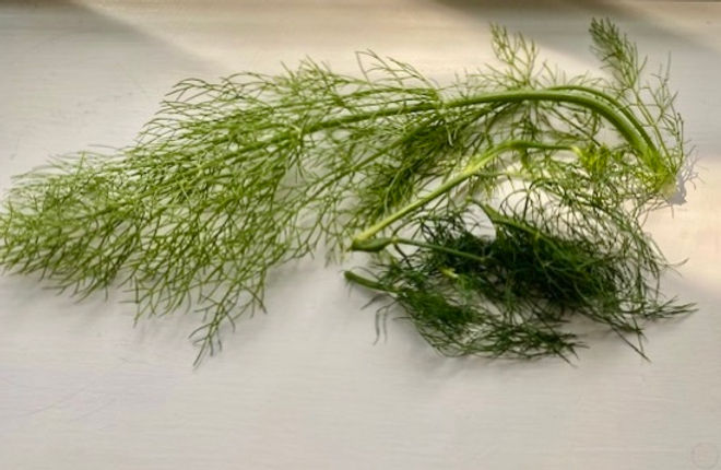 Dill and Fennel for Better Digestion
