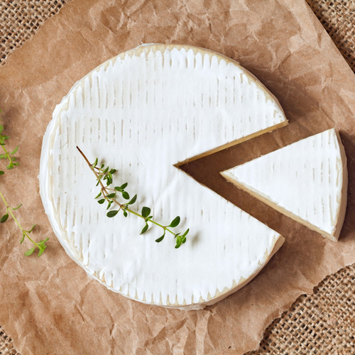 French White Cheese Seasoning | NP Foods