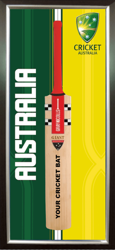 Australia Cricket Team Full size Cricket Bat Display Case | Sports Framing