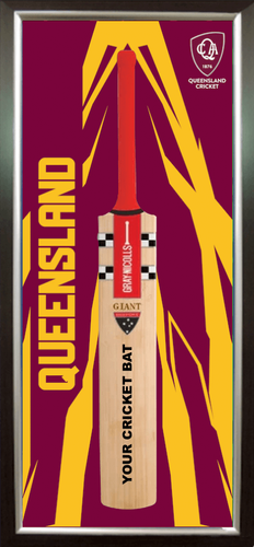 Queensland Cricket Team Full size Cricket Bat Display Case | Sports Framing