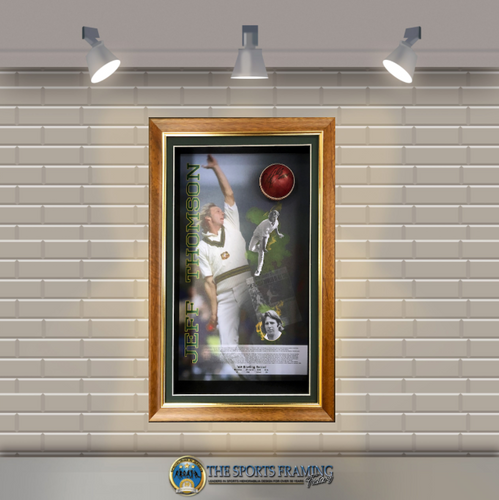 Custom Designed - Cricket Ball Frame | Sports Framing