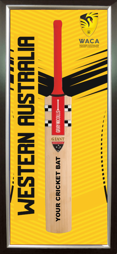 Western Australia Cricket Team Full size Cricket Bat Display Case ...