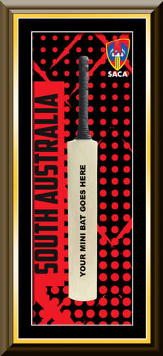 South Australia Cricket Team MINI size Cricket Bat Display Case ...