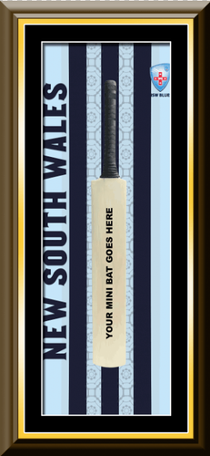 New South Wales Cricket Team MINI size Cricket Bat Display Case ...