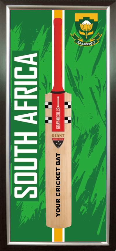 South Africa Cricket Team Full size Cricket Bat Display Case | Sports ...