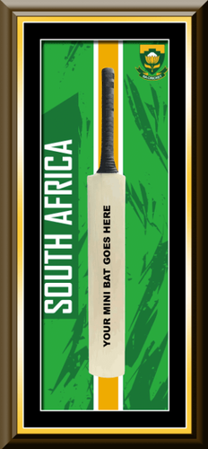 South Africa Cricket Team MINI size Cricket Bat Display Case | Sports ...