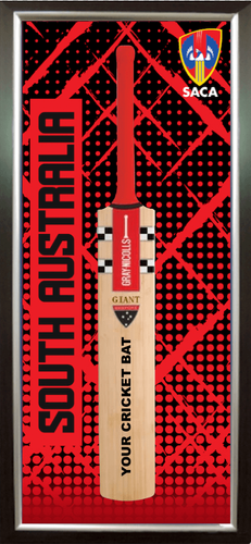 South Australia Cricket Team Full size Cricket Bat Display Case ...