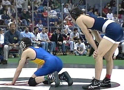 NY State Place-winners (D1) | HamptonBaysWrestling