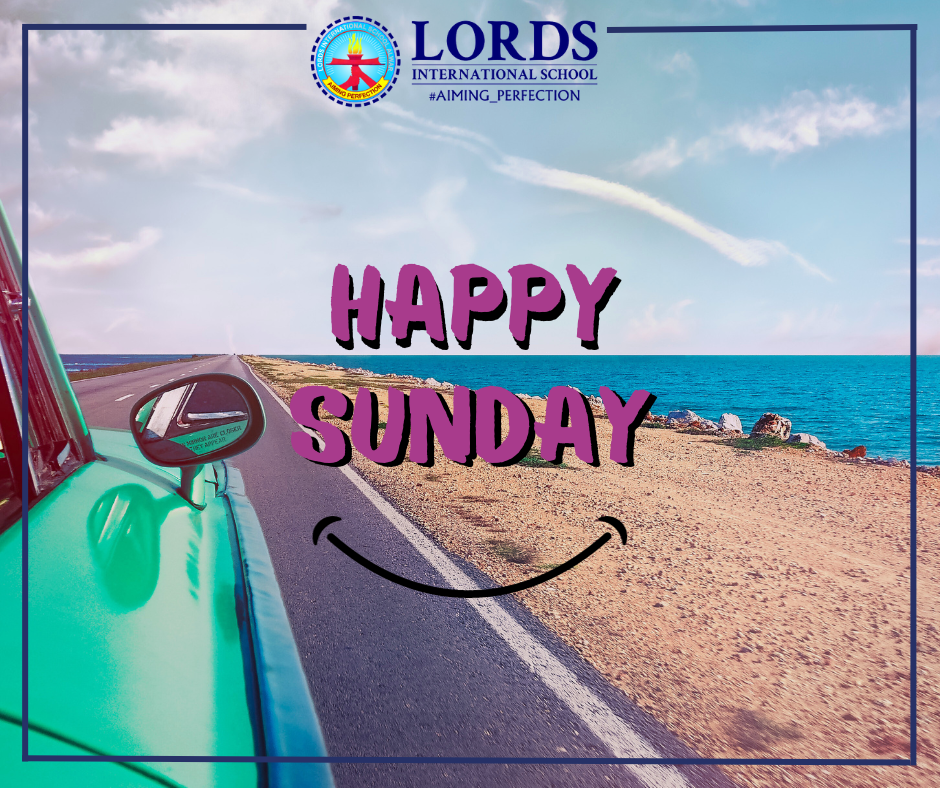 8 Fun Things to Do for a Perfect Sunday