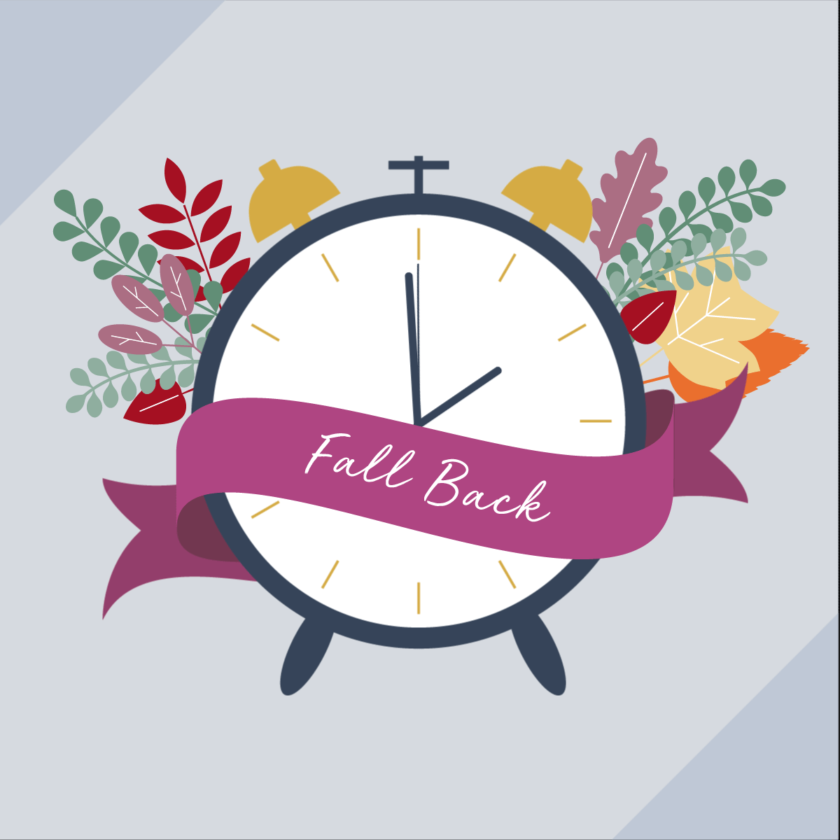 ILLUSTRATION + ANIMATION | Katie Seitz