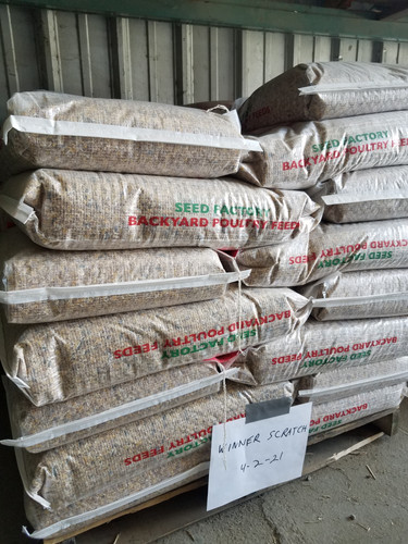 Poultry Winner's Scratch | Feed Store Site