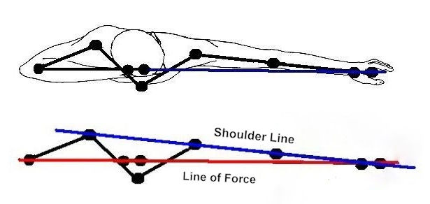 BIOMECHANICS OF ARCHERY