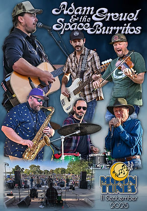 Bands | Moon Tunes | La Crosse, WI