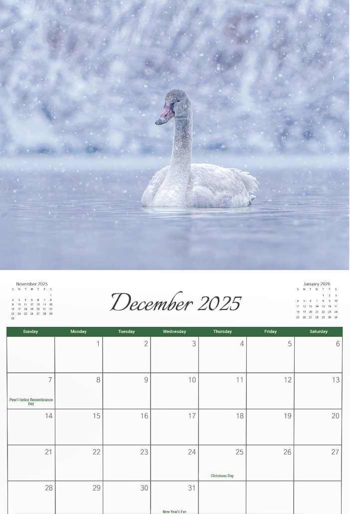 There’s Still Time to Get the 2025 SLHS STEAM Team Calendar!