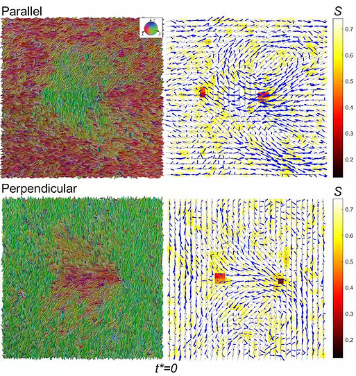 Research | GiDAM HKUST