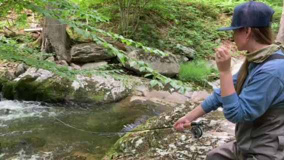 Fly Fishing Techniques: The Bow and Arrow Cast