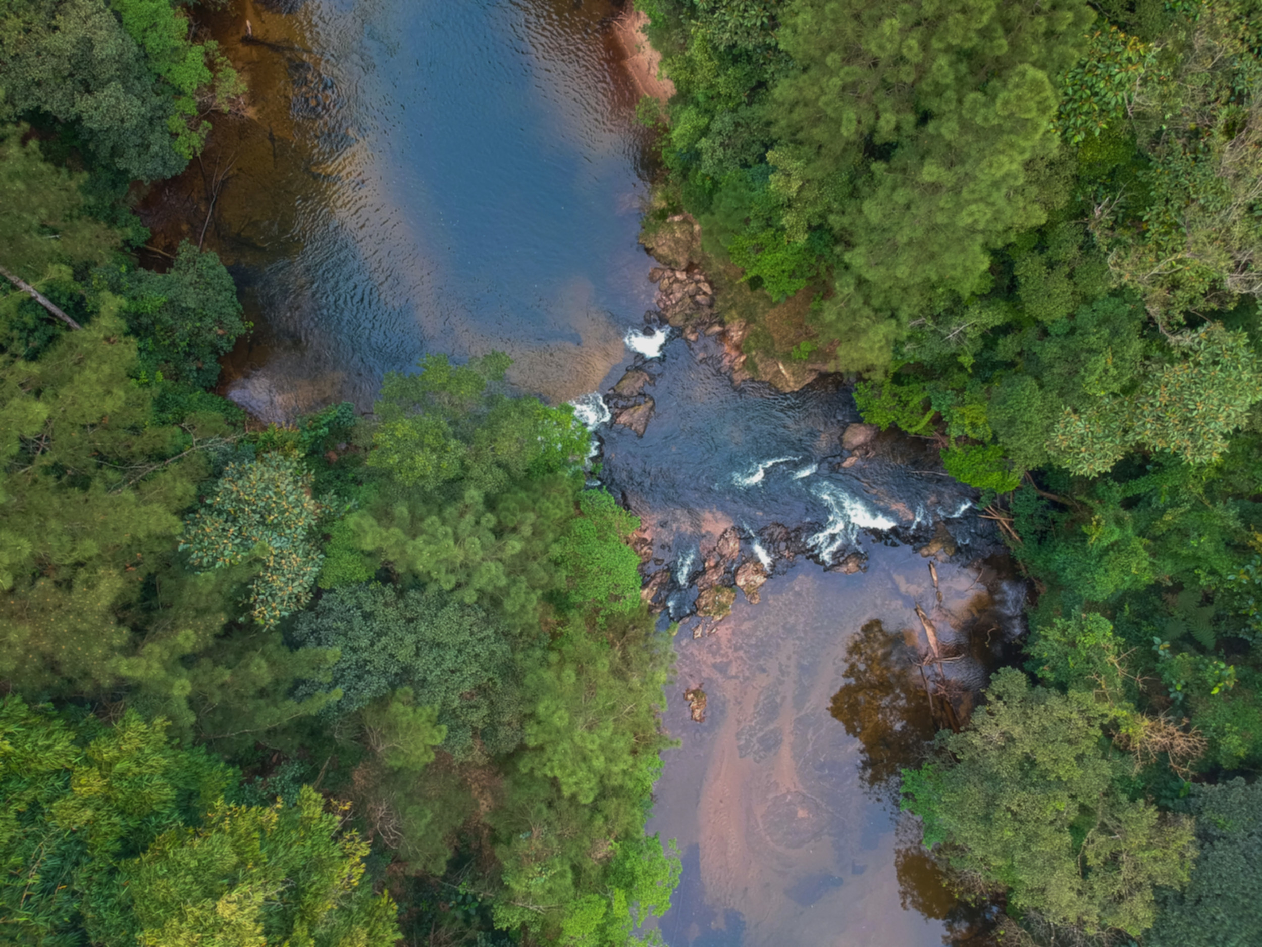 Exploring the Rivers of Virginia: From Scenic Waters to Whitewater ...