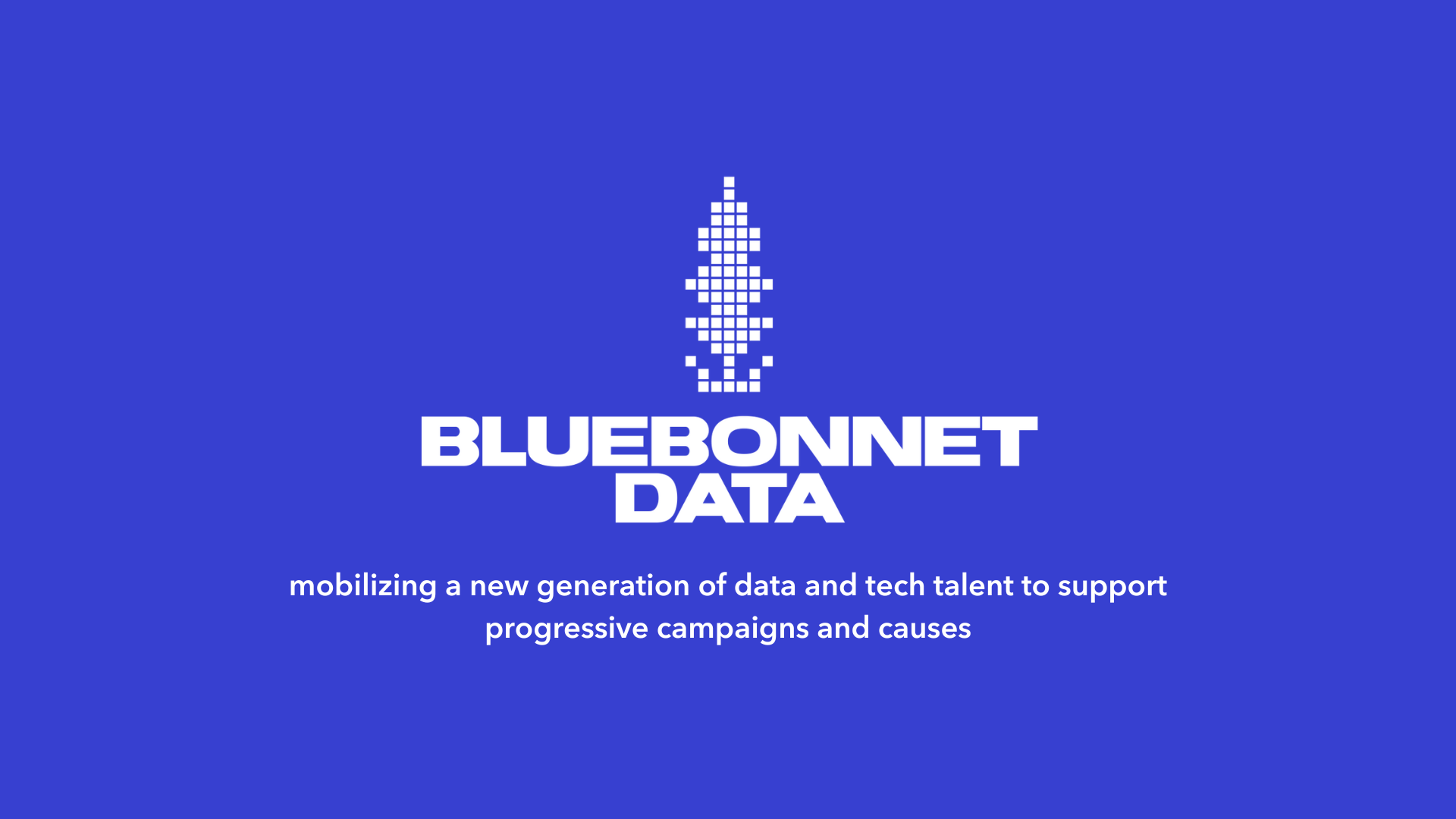 Fellows | Bluebonnet