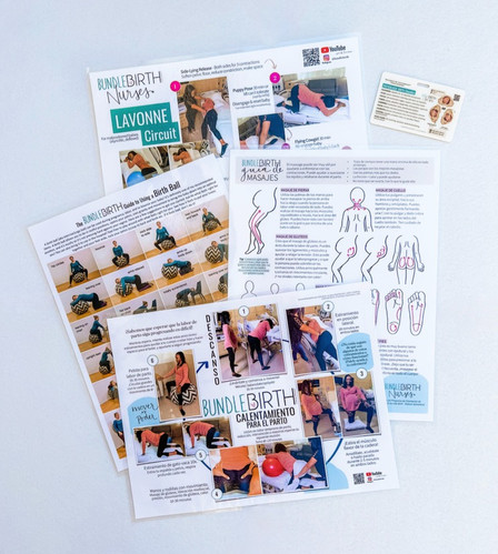 New Product Bundle | Bundle Birth