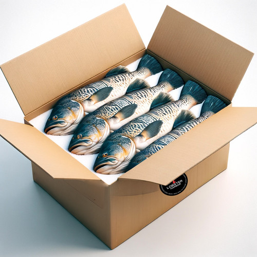 Fresh Fish | Lobster Harbor Shop