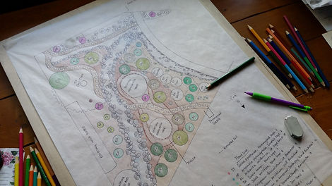 Home | Garden Natives, Inc.