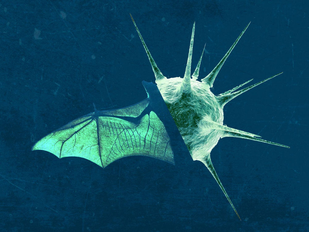 NEO COV SHOULD WE BE SCARED?