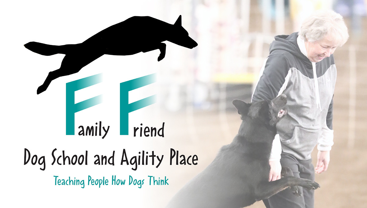 Family Friend Dog School and Agility Place | training | Oregon City, OR ...