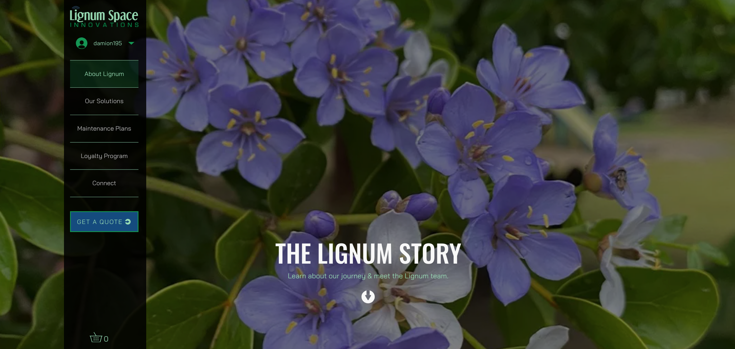 About Lignum | Lignum Space Innovations