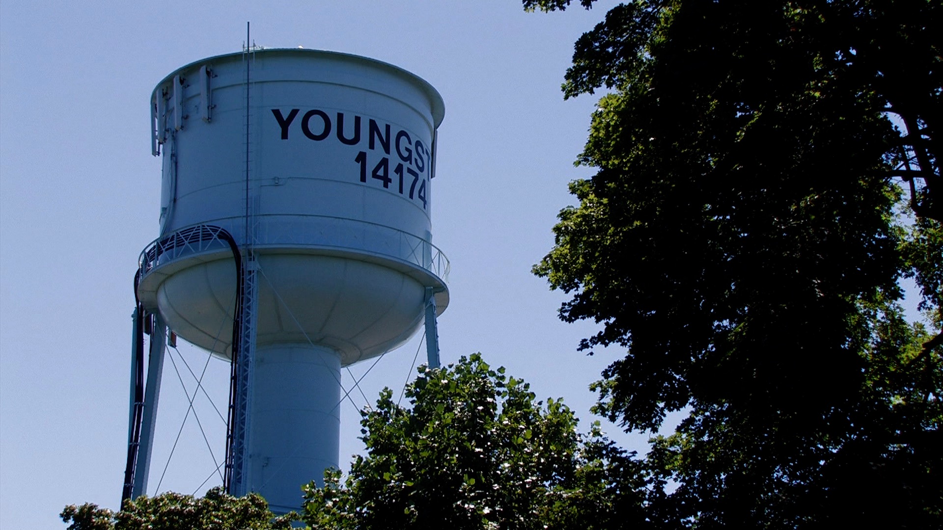 Prohaska Studios | All-Purpose Creativity