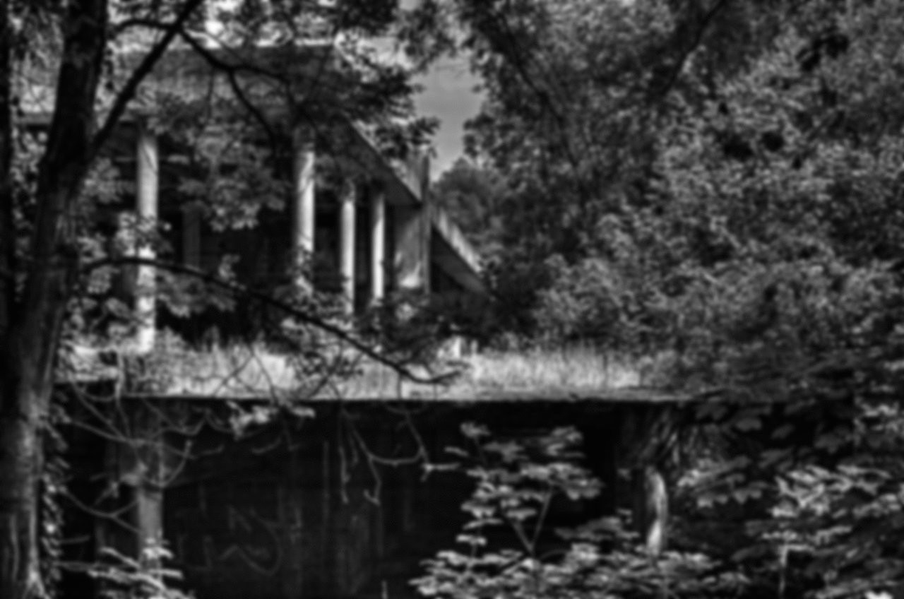 Swamp Hotel | Urbex | Urbexpressions