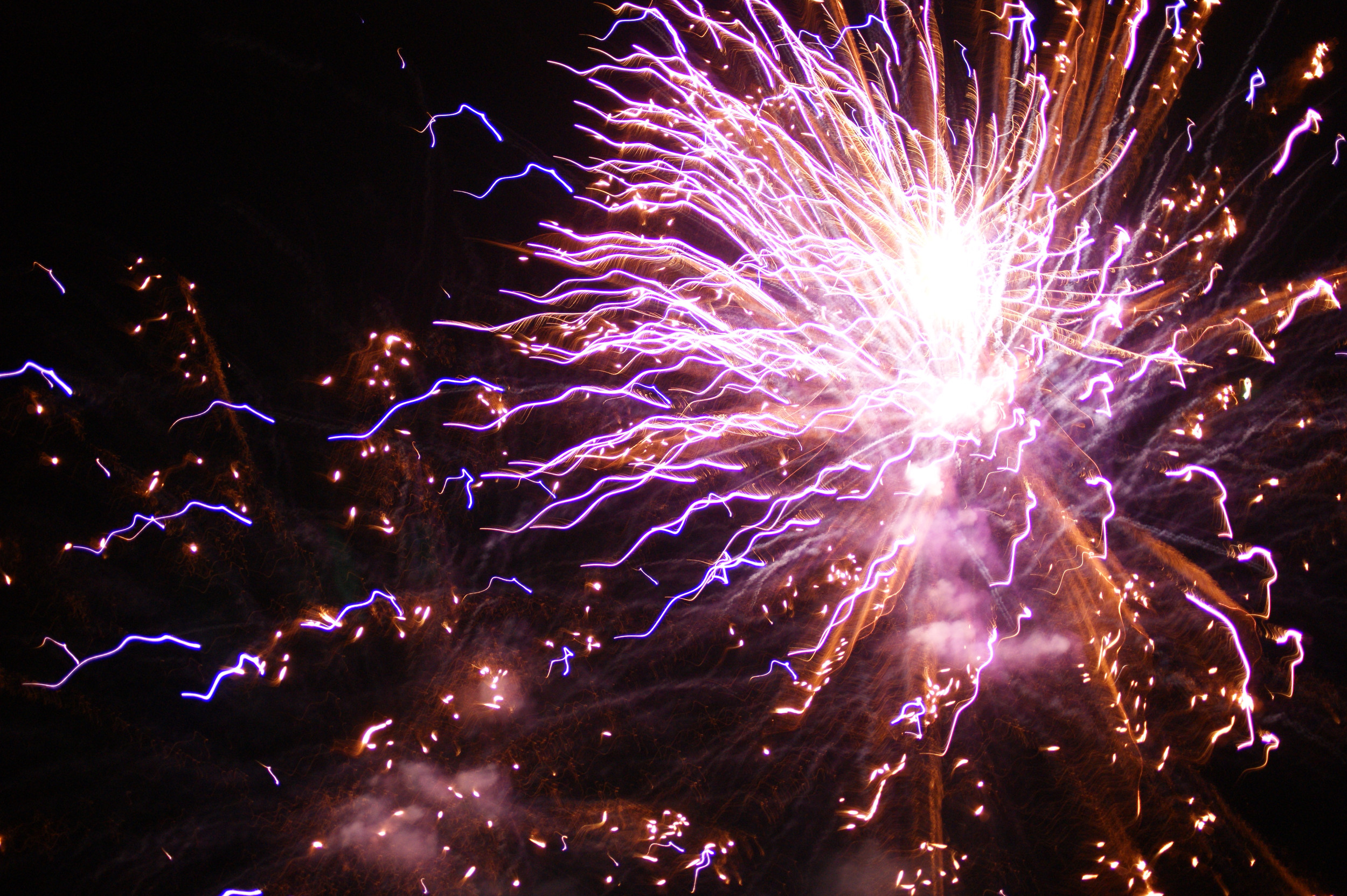 Cracker Night at Hobart Showground