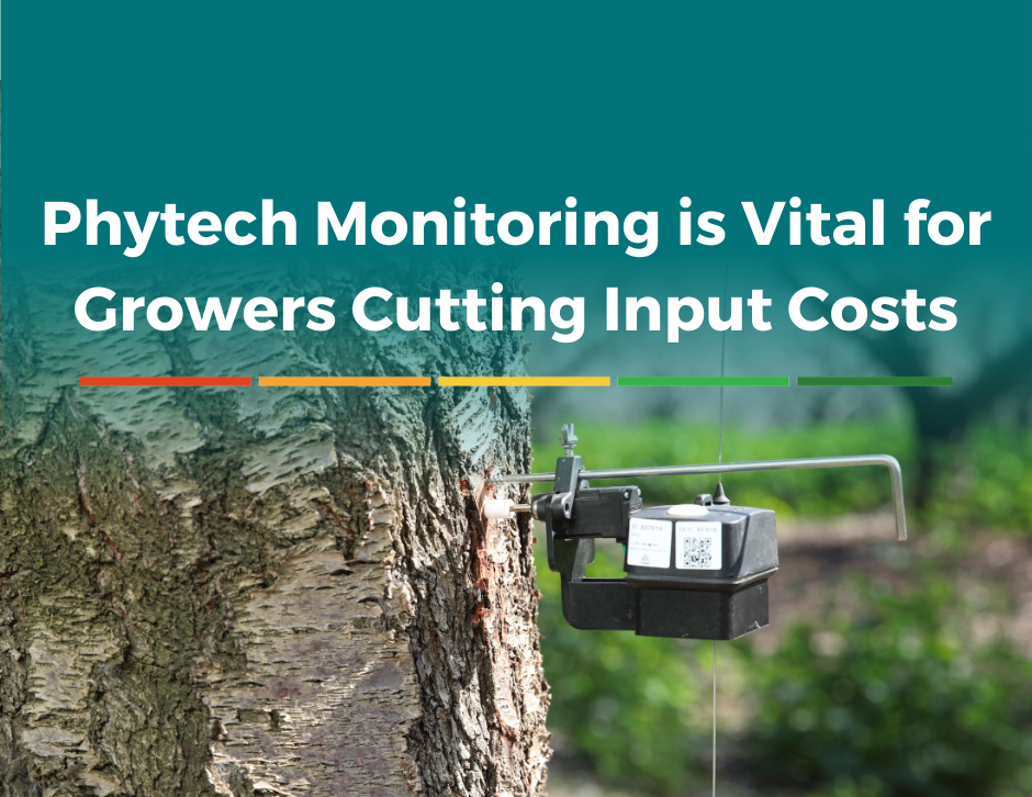 Phytech Monitoring is Vital for Growers Cutting Input Costs