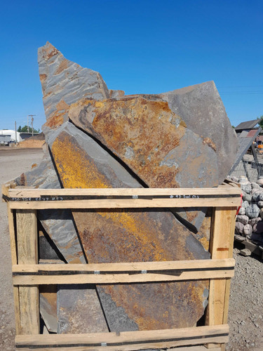 Montana Pritchard, Stand-Up | Canby Landscape