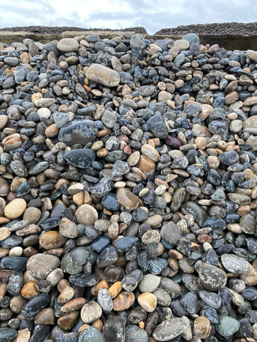 2"-8" Canadian | Canby Landscape